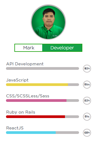 Hire Experienced Software Developers | Full Scale